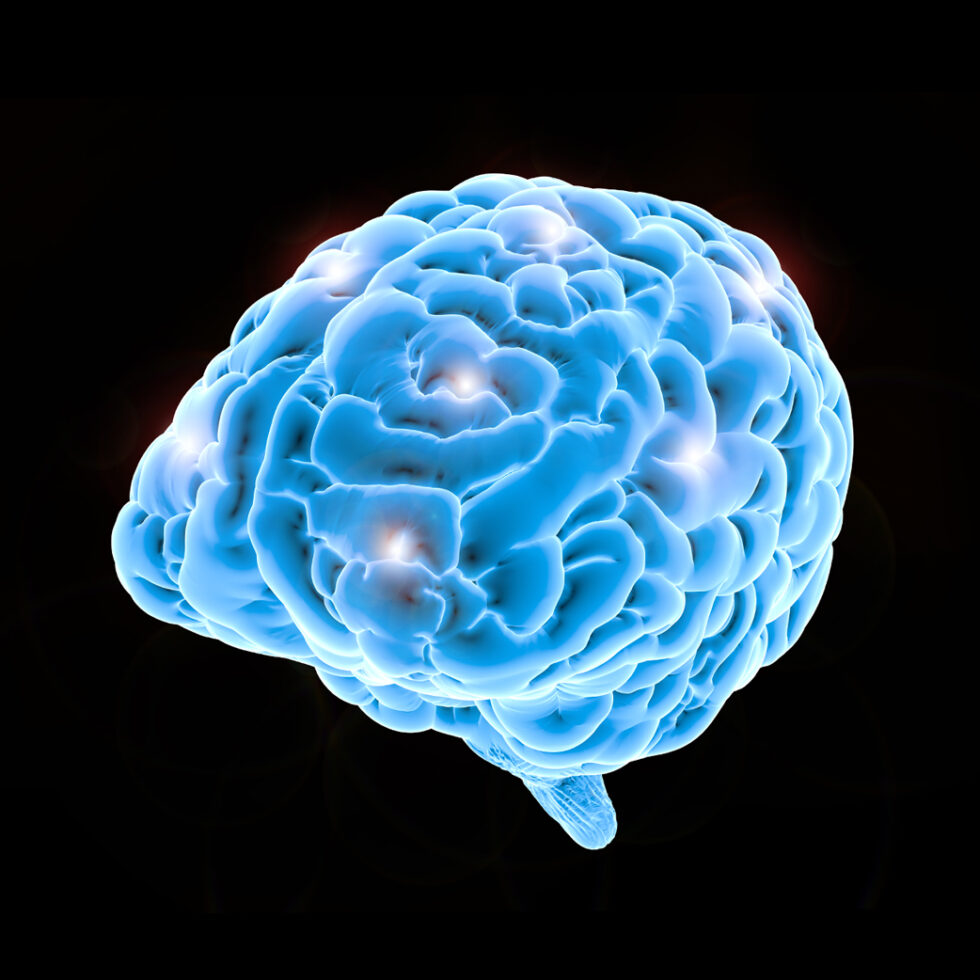 FROM OUR PARTNER IN HEALTH, SAINT ALPHONSUS: March is Brain Injury Awareness Month! - Treasure ...